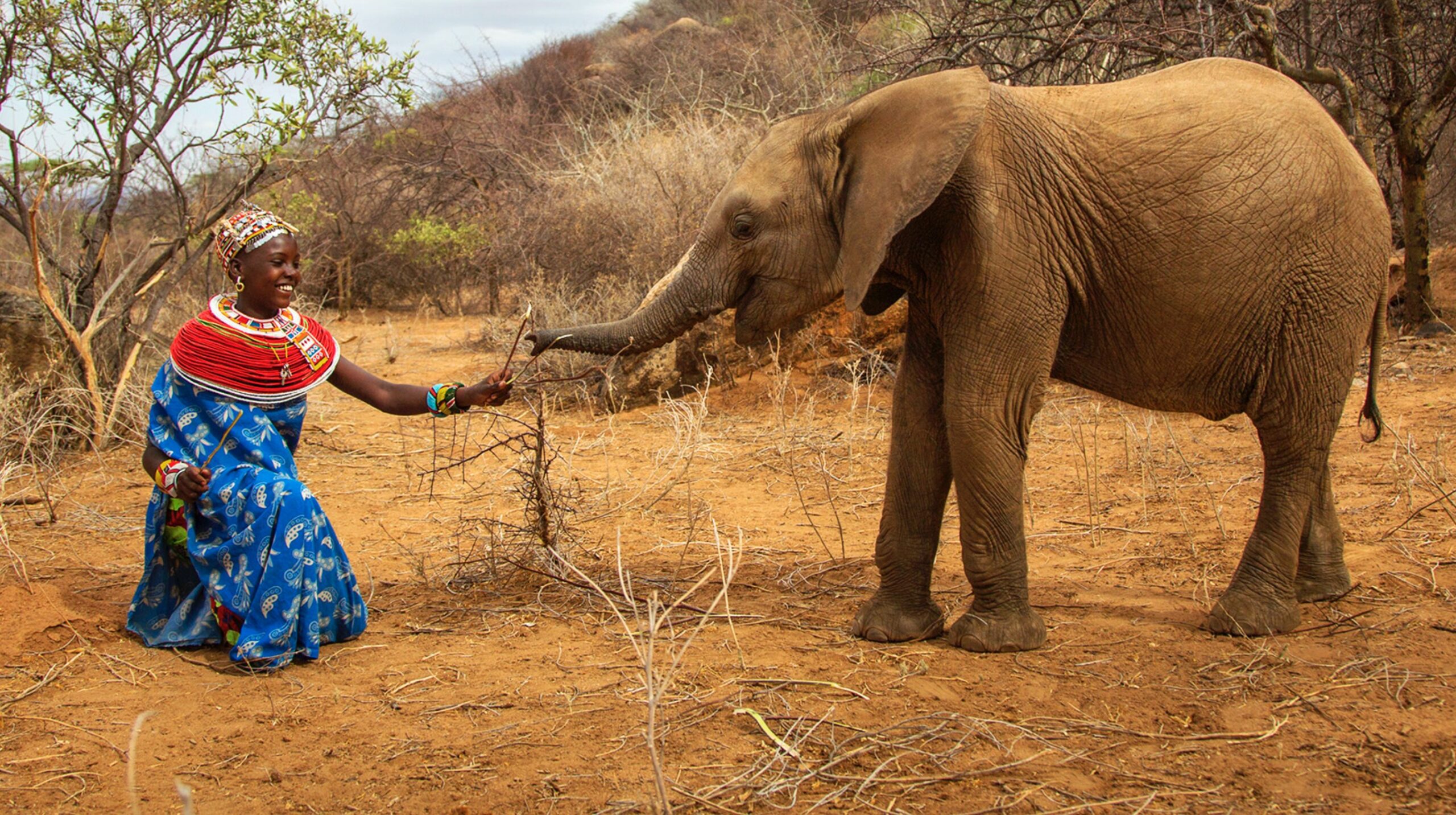 PASSION PICTURES – My Africa