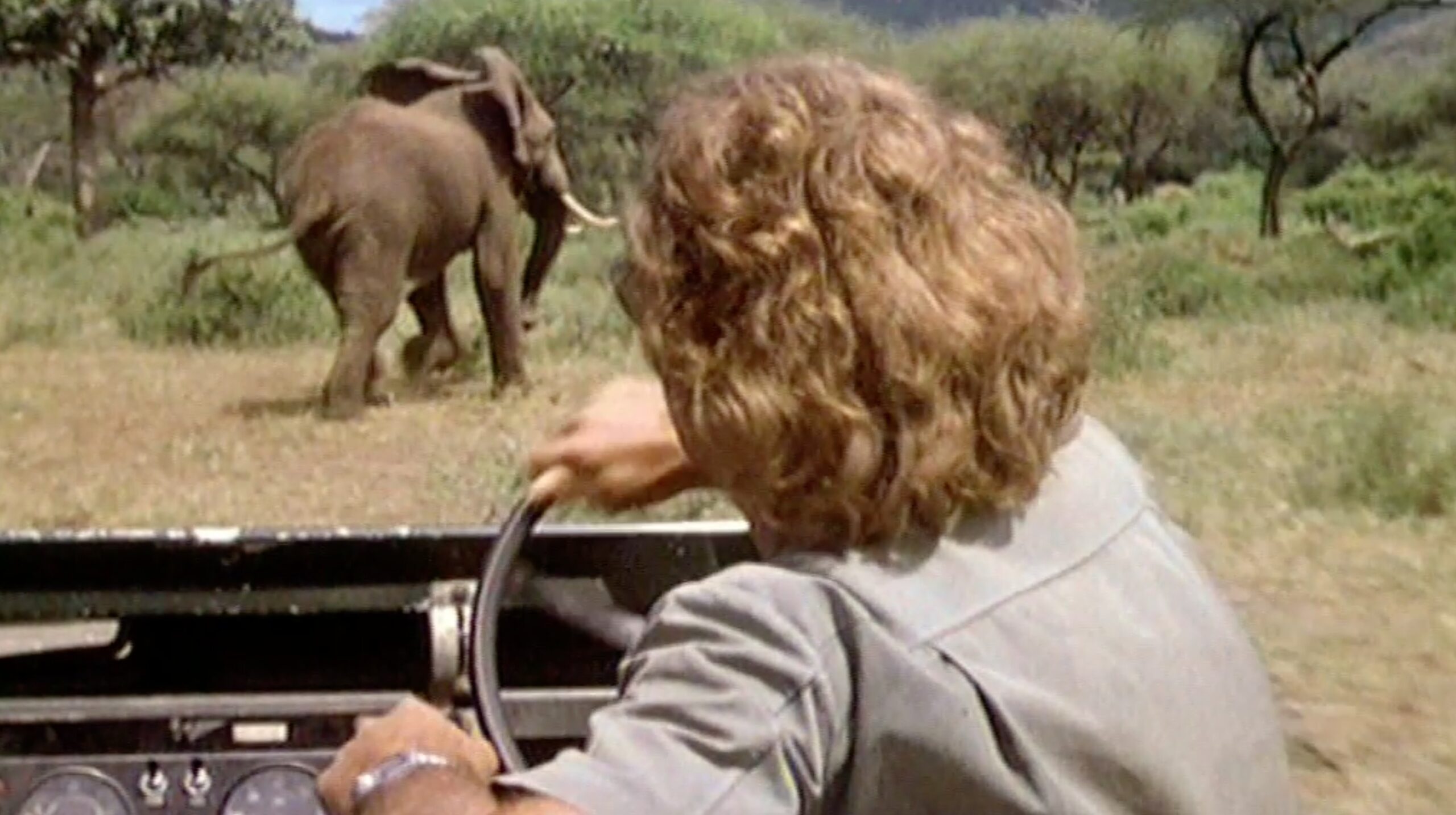 PASSION PICTURES – Saba and the Rhino's Secret